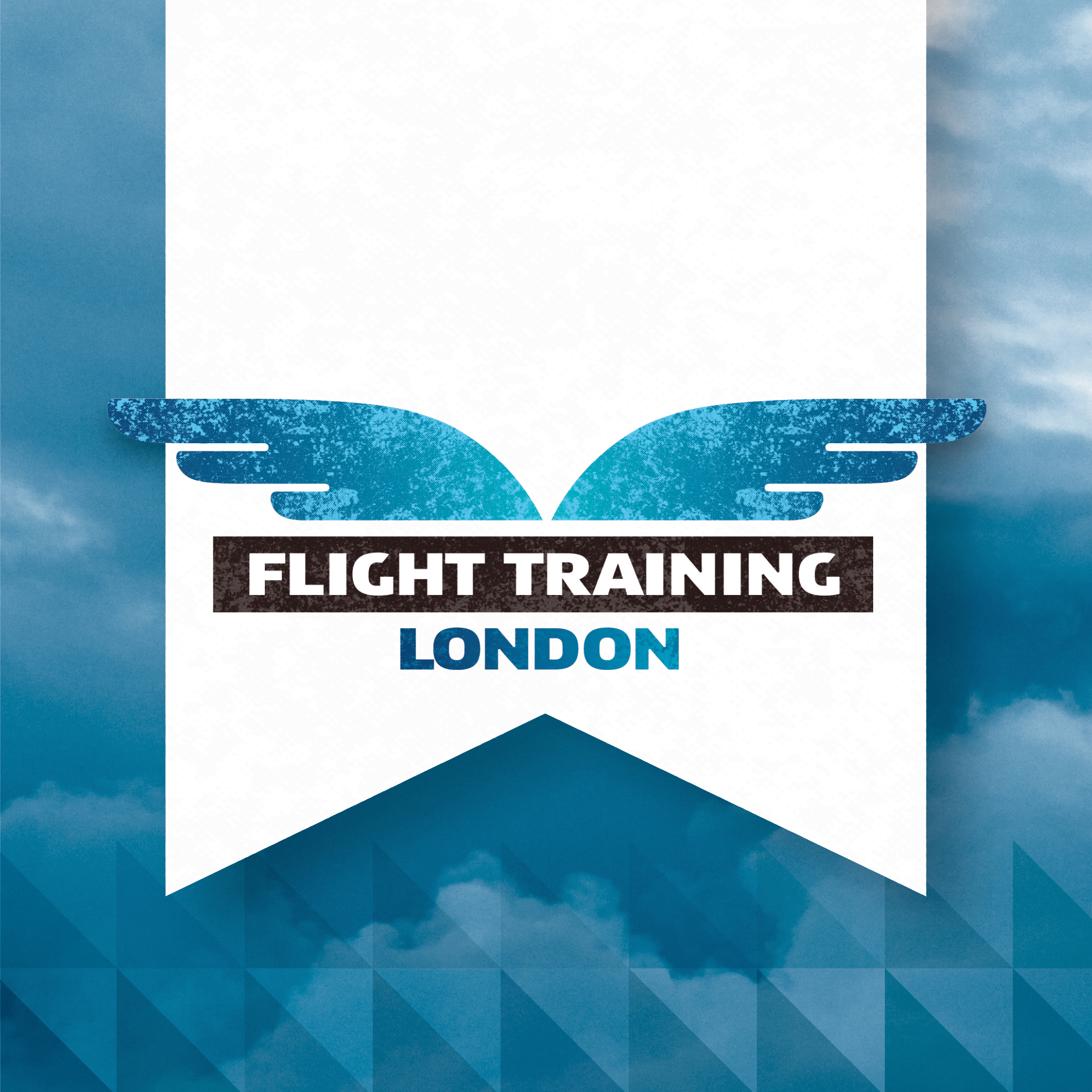 Pilot Network